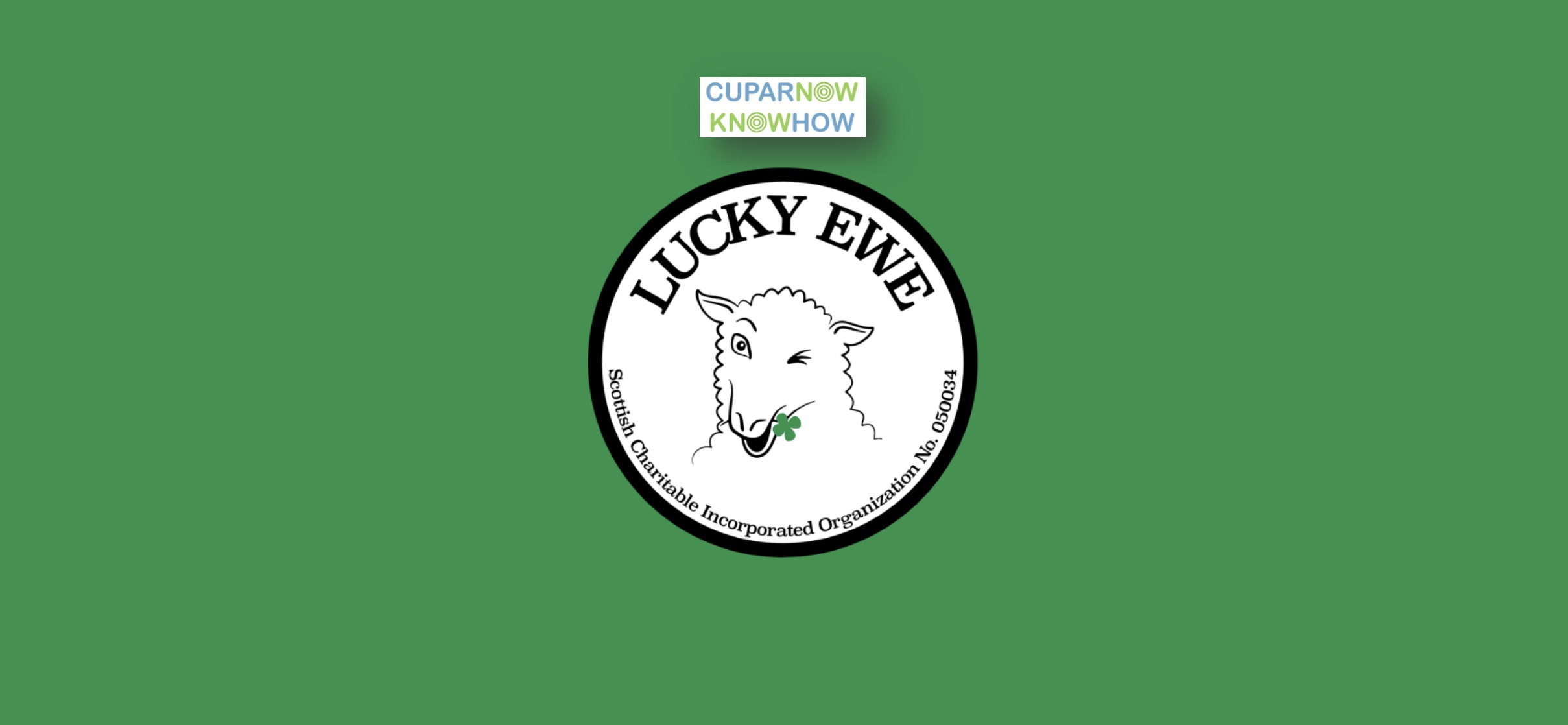 CuparNow KnowHow - Lucky Ewe - Cupar Now