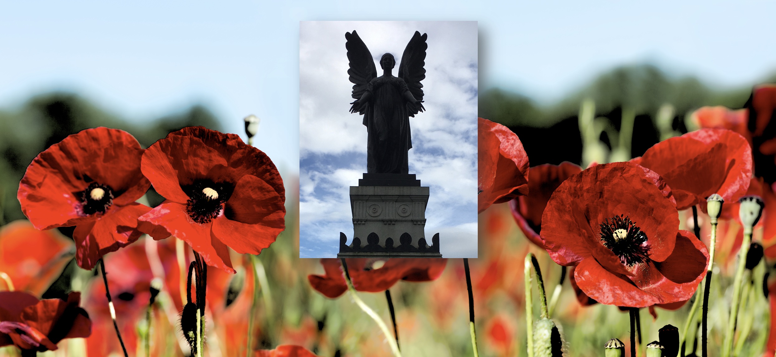 We Will Remember Them - Cupar Now