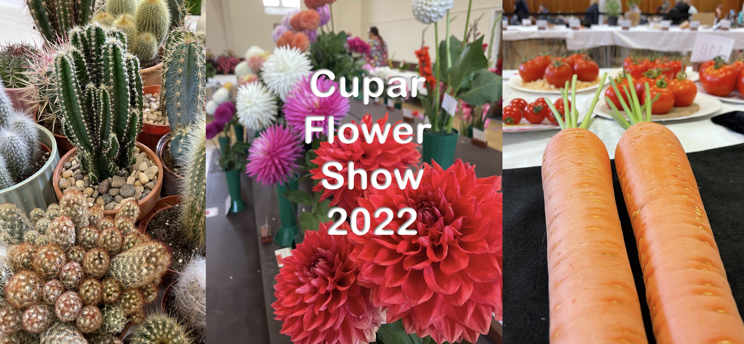 Cupar Flower Show celebrates President's 50th anniversary - Cupar Now