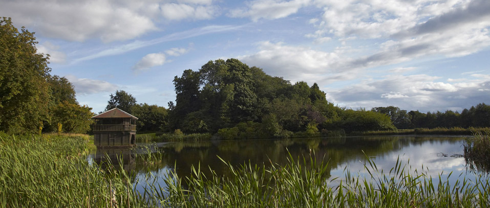 Gilston - East Neuk Estates